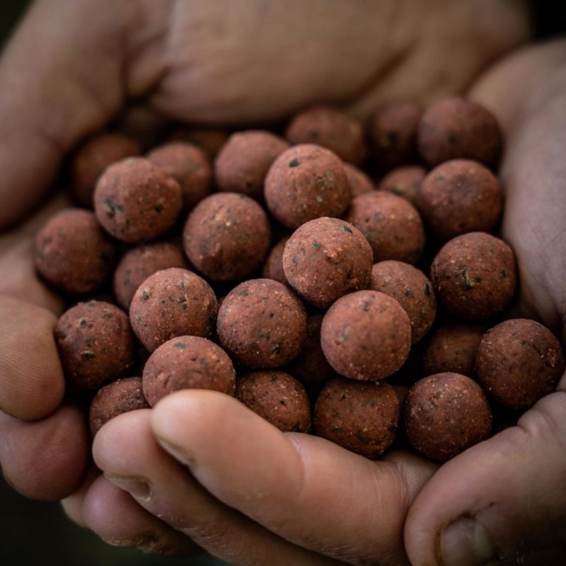 RG Baits - RED SEA SQUID Freezer Bait Boilies