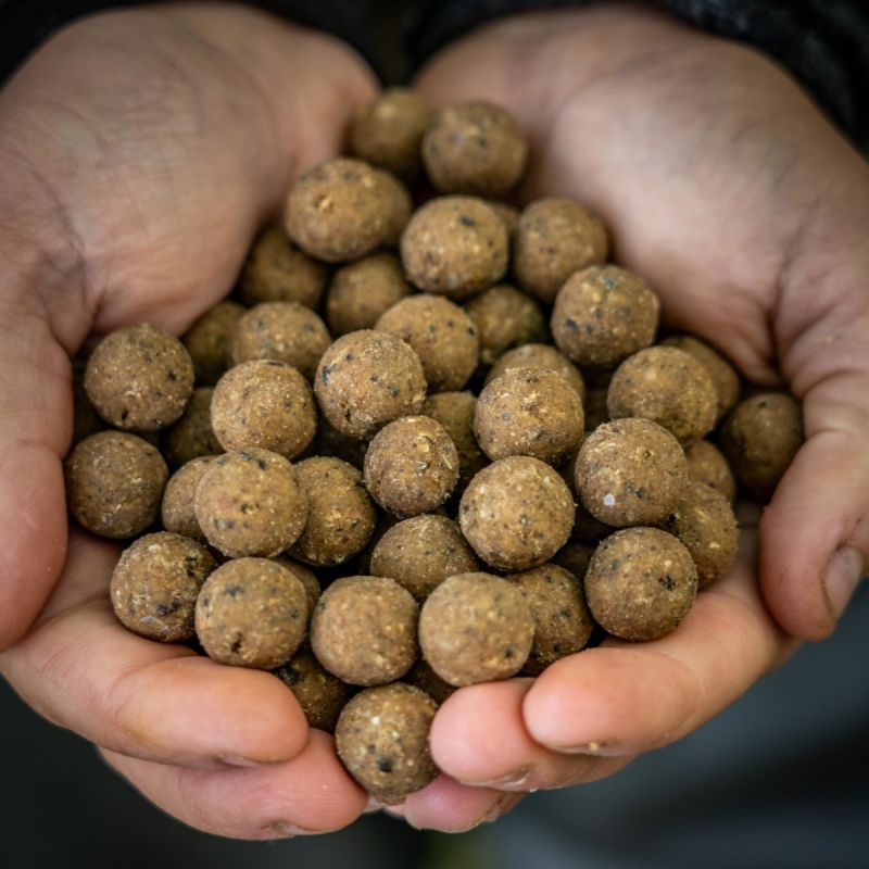 RG Baits - Arctic Crab Freezer boilies