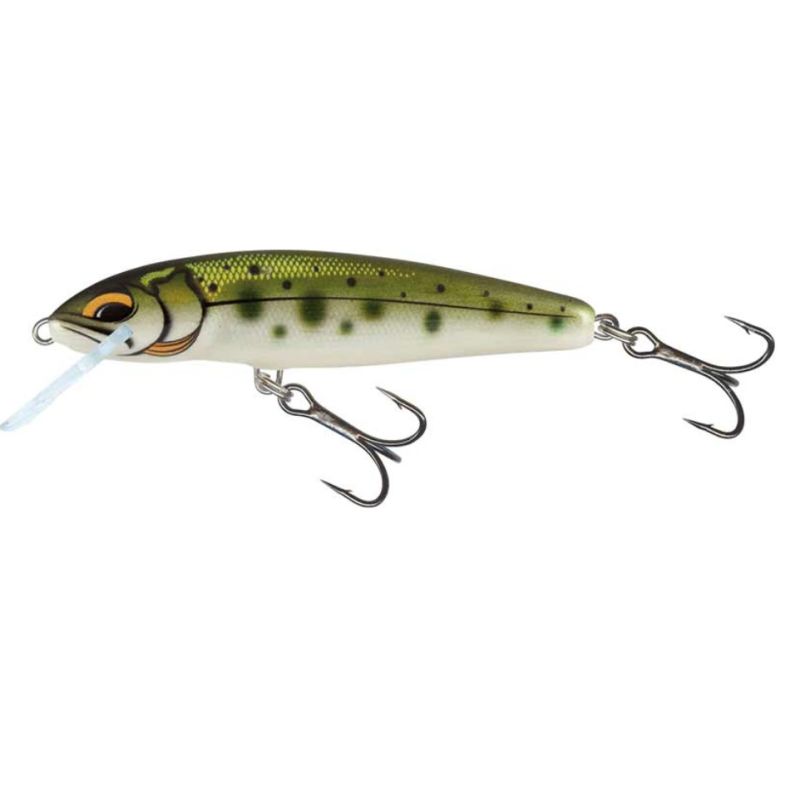 Salmo - Minnow Lures
