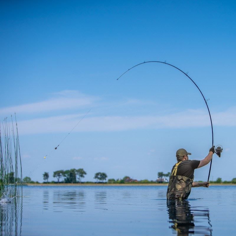 Avid - Revolve Carp Rod