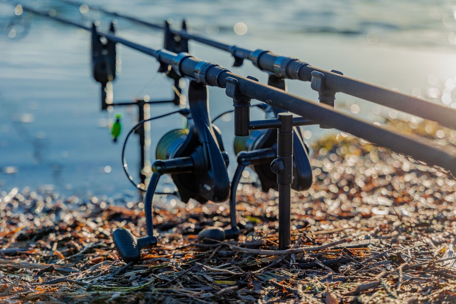 Fox - Black Label Slim - 2 Rod Buzz Bars