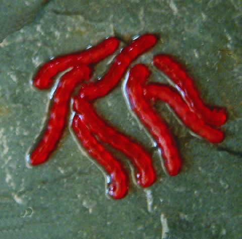 Enterprise Tackle - Artificial Blood Worm