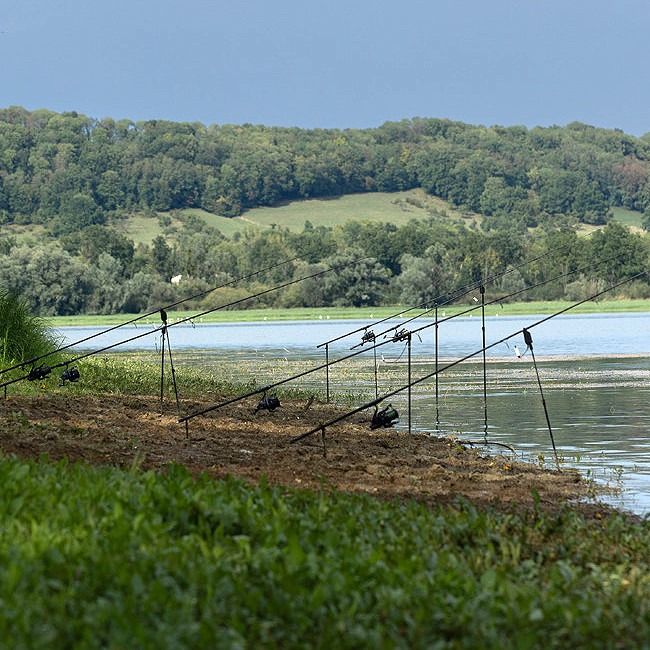 Korda - Kaizen Green Rod