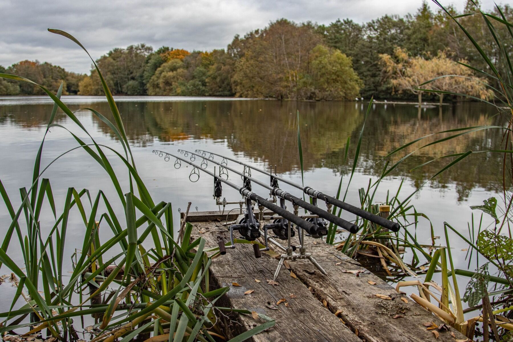 Solar Tackle - P1 Mini Worldwide Pod With Stubby Legs