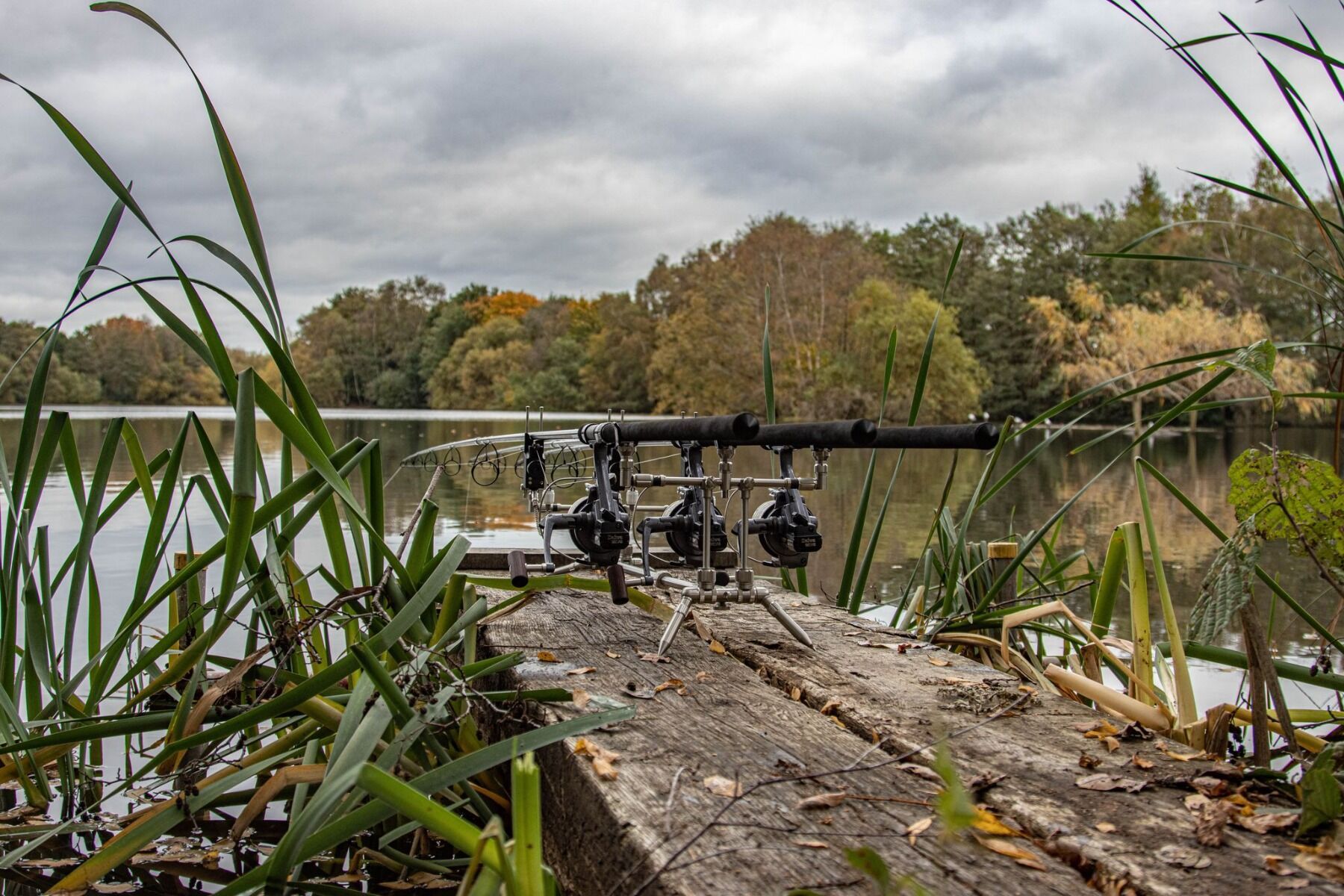 Solar Tackle - P1 Mini Worldwide Pod With Stubby Legs
